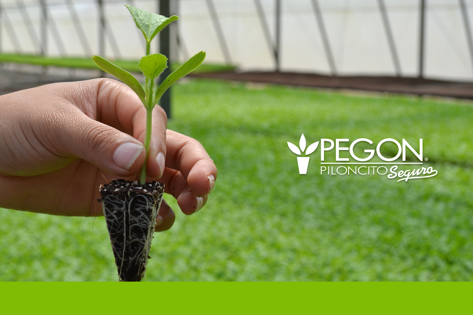 AGROPECUARIA POPOYAN S.A.